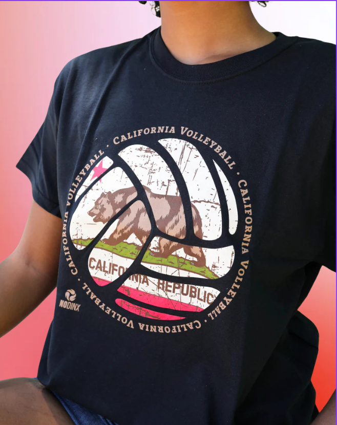 California Ball – No Dinx Volleyball